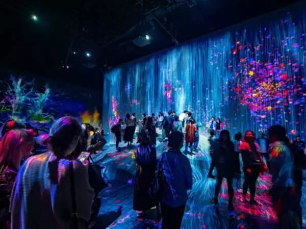 Audio Visual Rentals Nationwide | AVR Expos – LED Walls, Projectors, & More